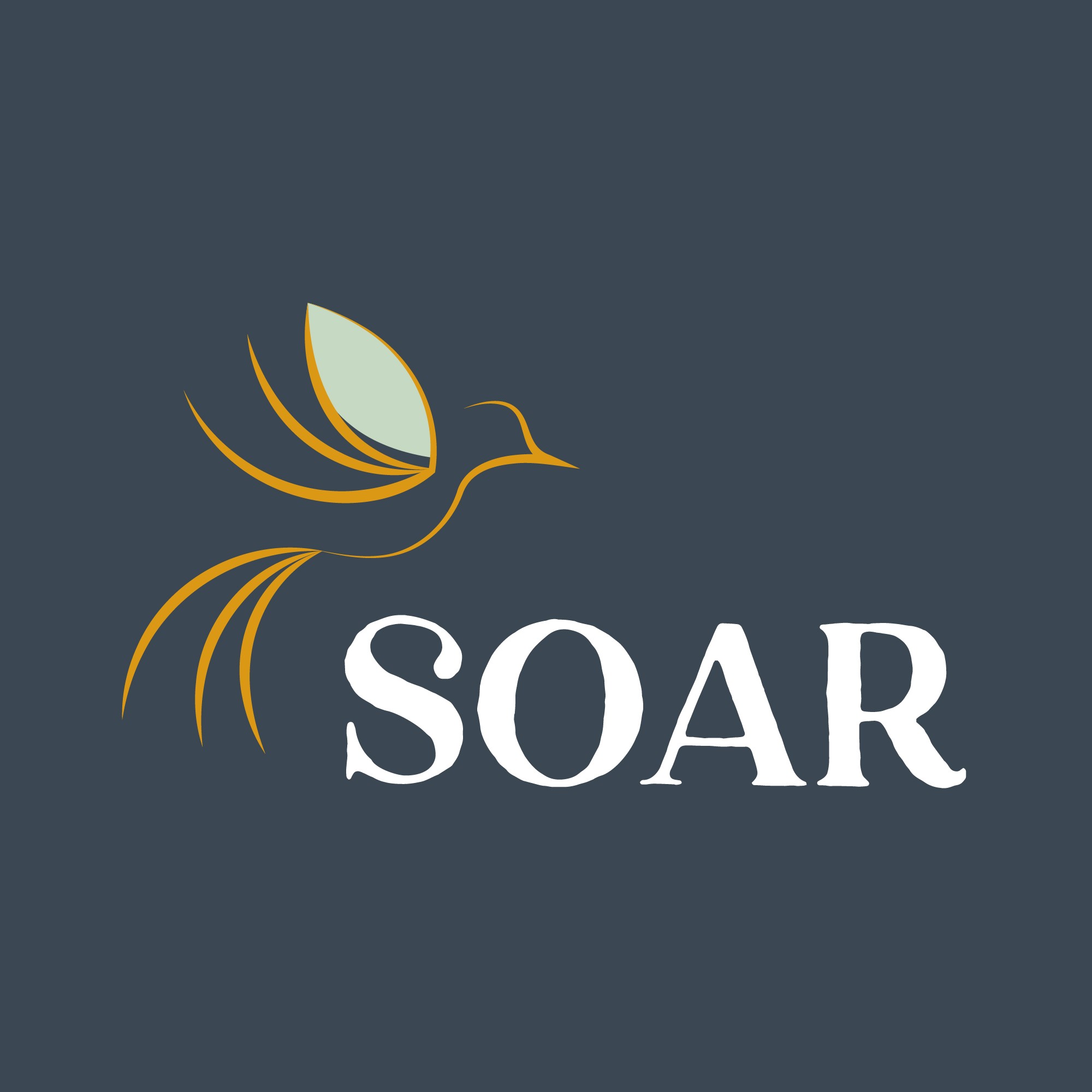 SOAR Support for Mental Wellness